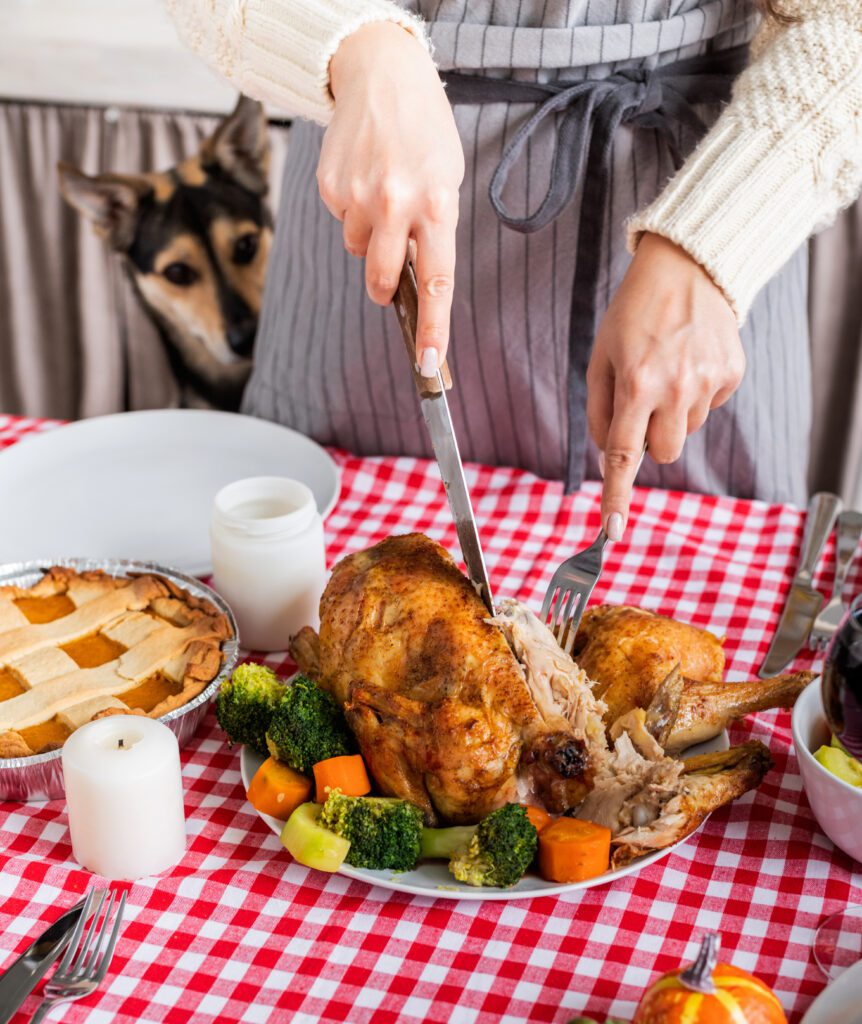Can Dogs Eat Turkey? Everything You Need to Know | Altadena Pet Hospital